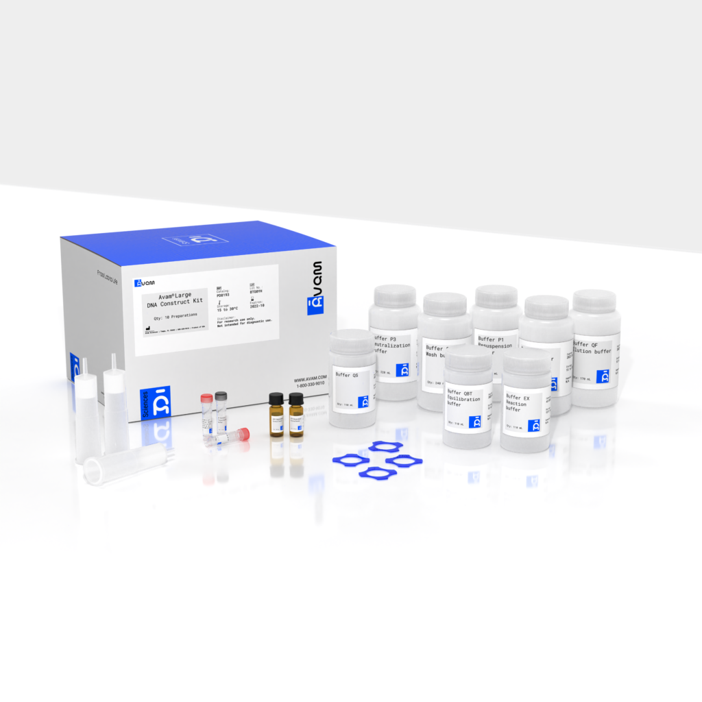 Avam® Large DNA Construct Kit | Avam