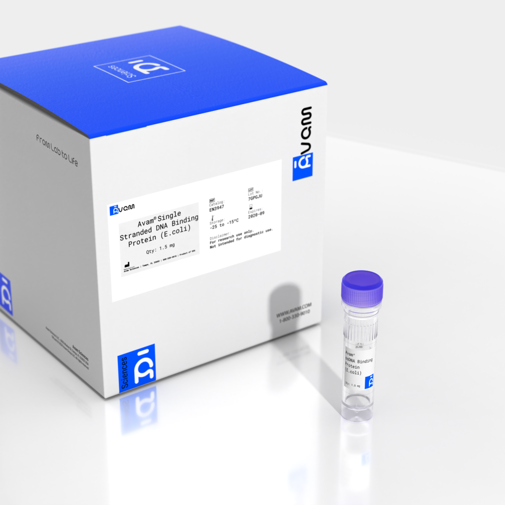 Avam® Single Stranded DNA Binding Protein (E. coli) | Avam