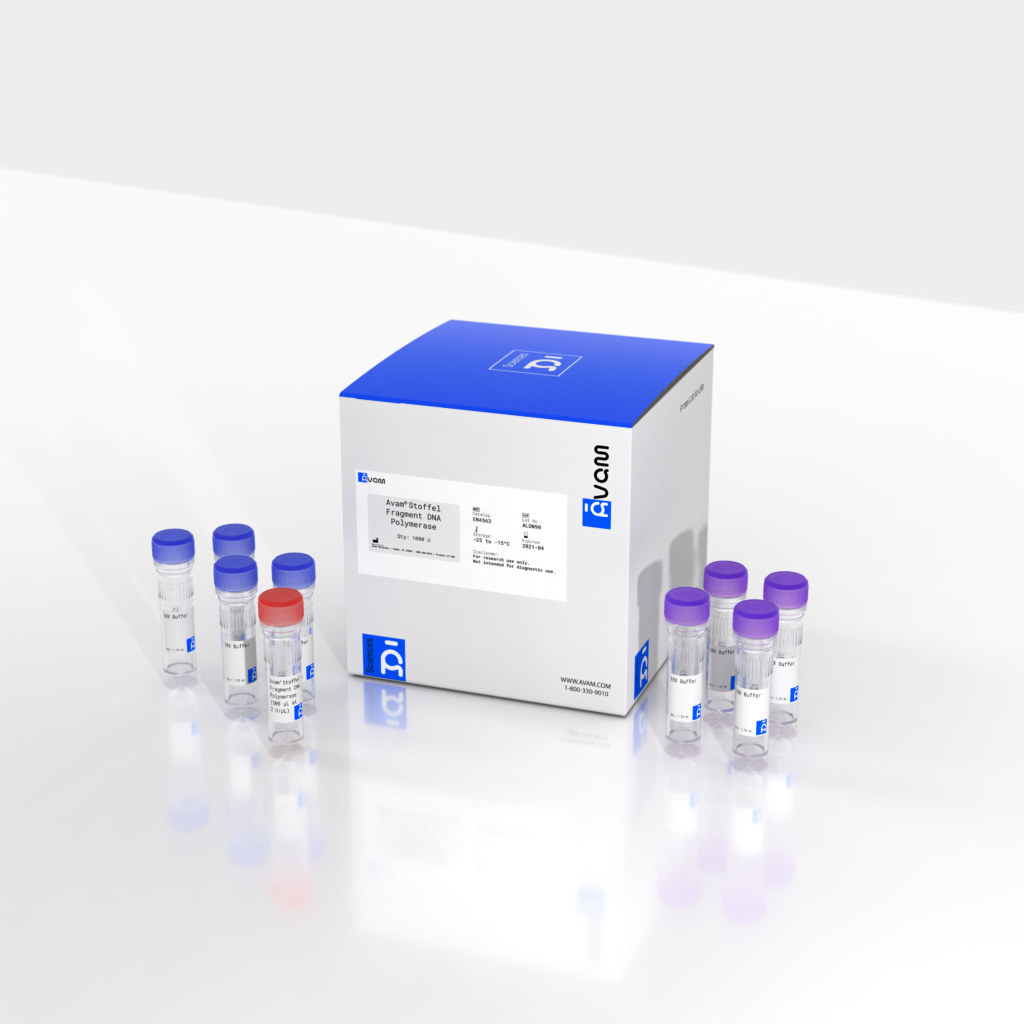 Avam® Stoffel Fragment DNA Polymerase | Avam