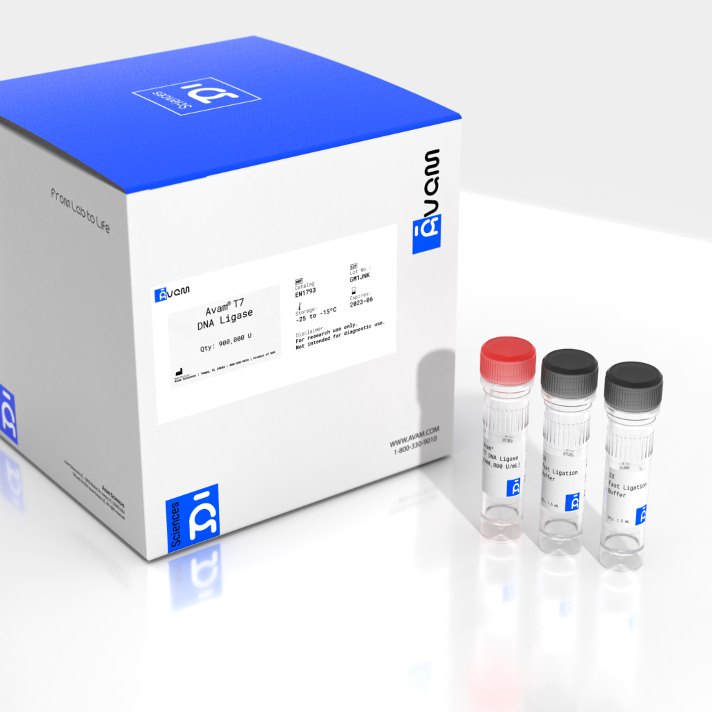 Avam® T7 DNA Ligase | Avam