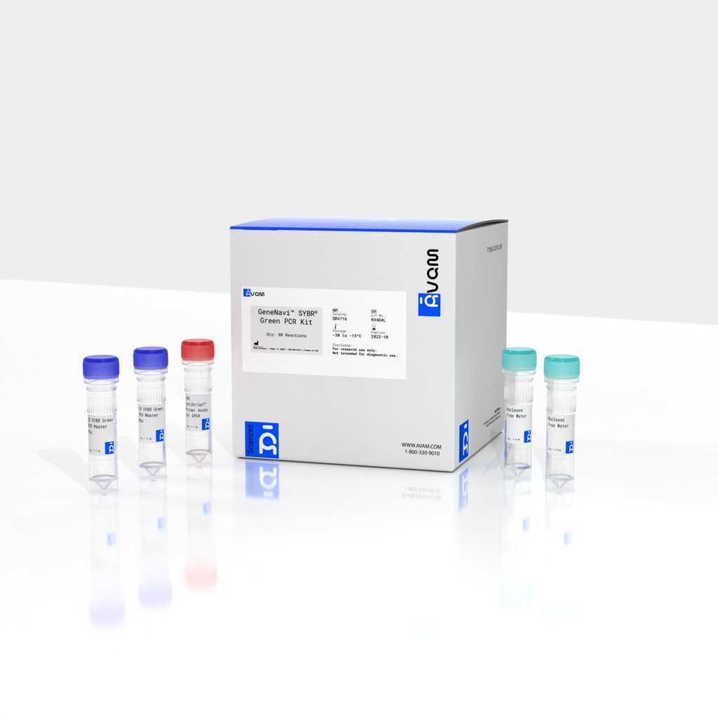 GeneNavi™ SYBR® Green PCR Kit | Avam