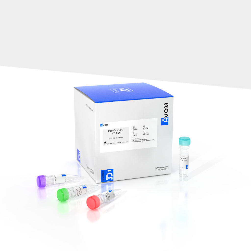 PanoScript™ RT Kit | Avam